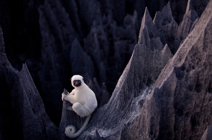 Tsingy: The Stone Forest of Madagascar | Amusing Planet